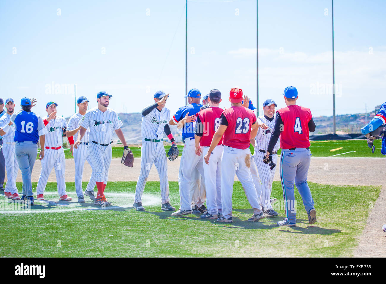 male versus male softball match Stock Photo - Alamy