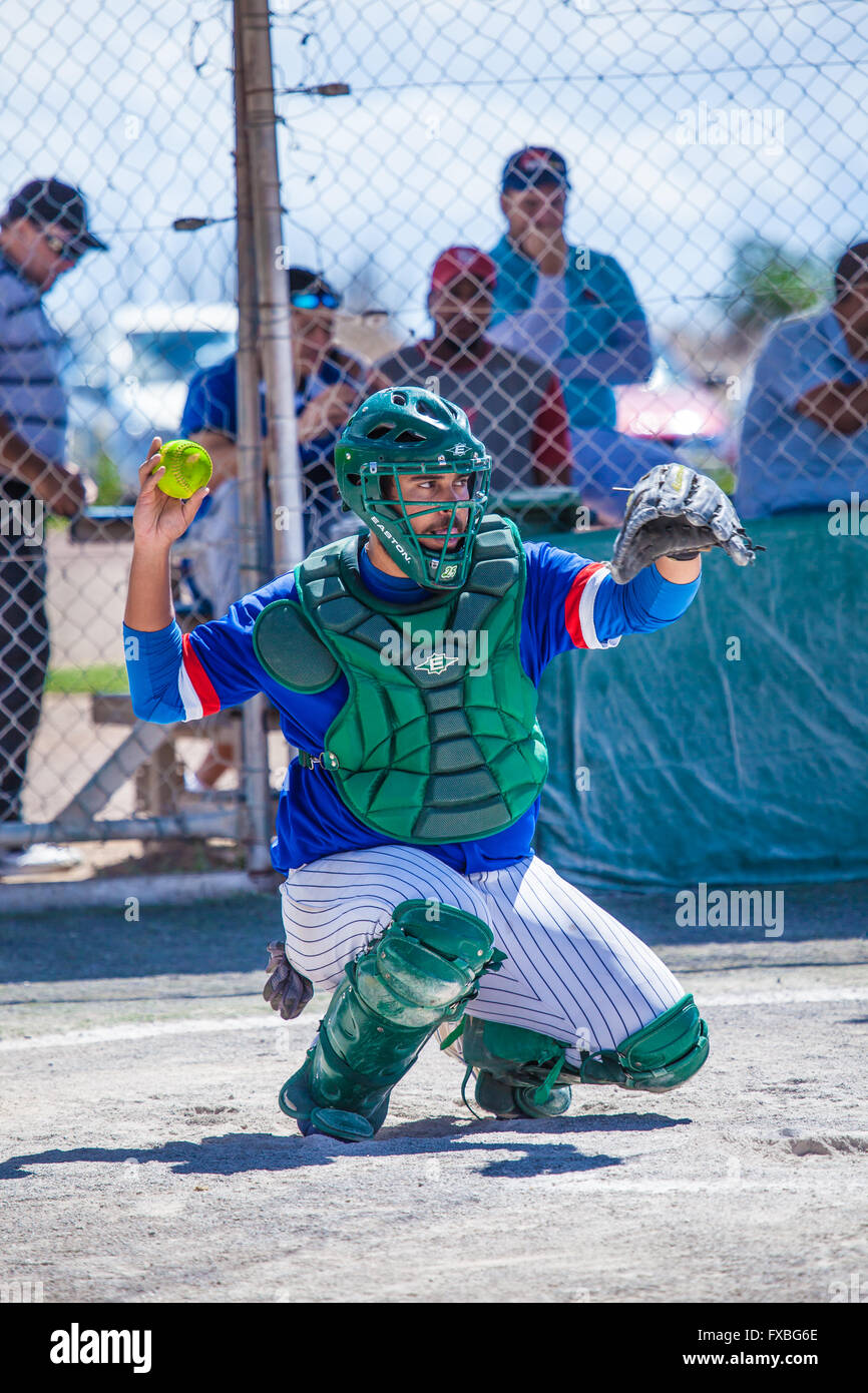 male versus male softball match Stock Photo - Alamy