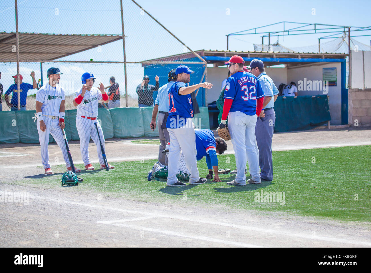 male versus male softball match Stock Photo - Alamy