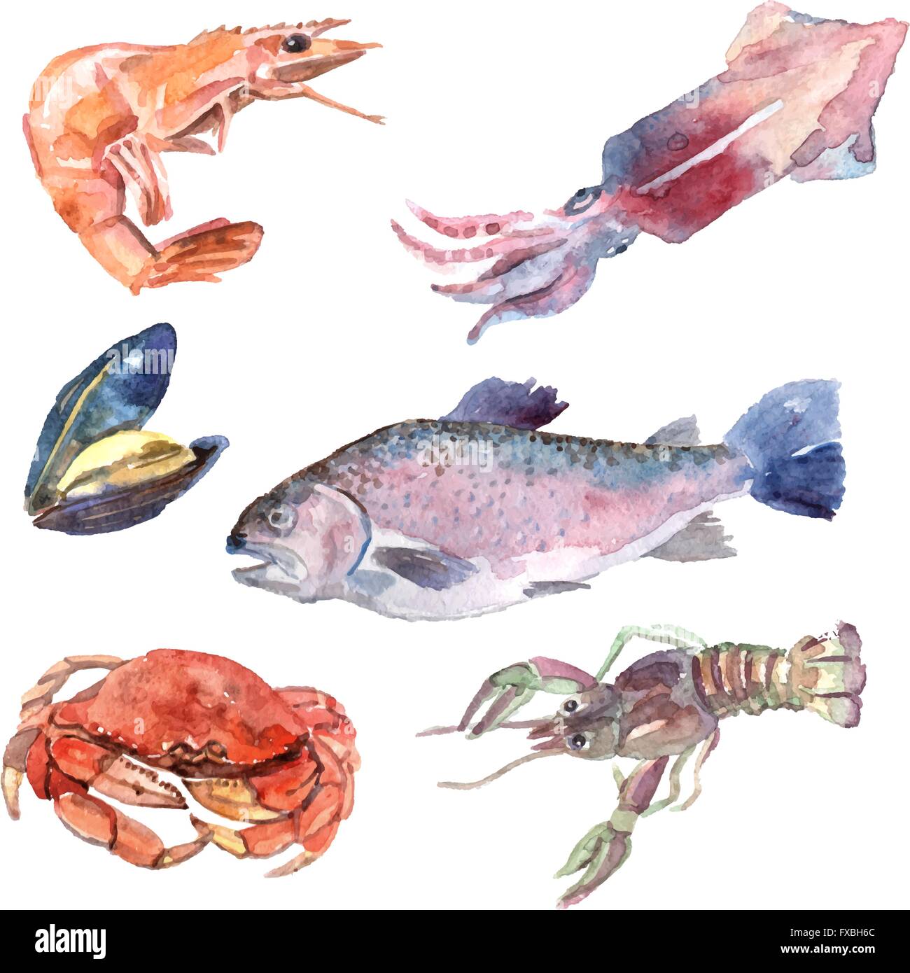 Watercolor Sea Food Set Stock Vector Image & Art - Alamy