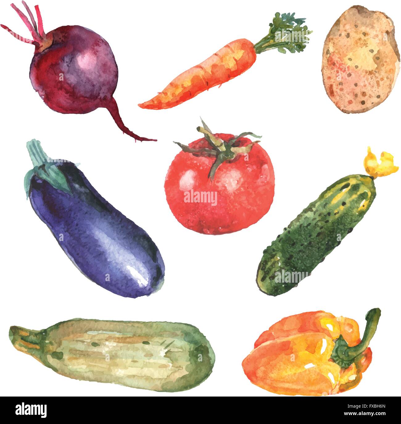 Watercolor Vegetables Set Stock Vector Image & Art - Alamy