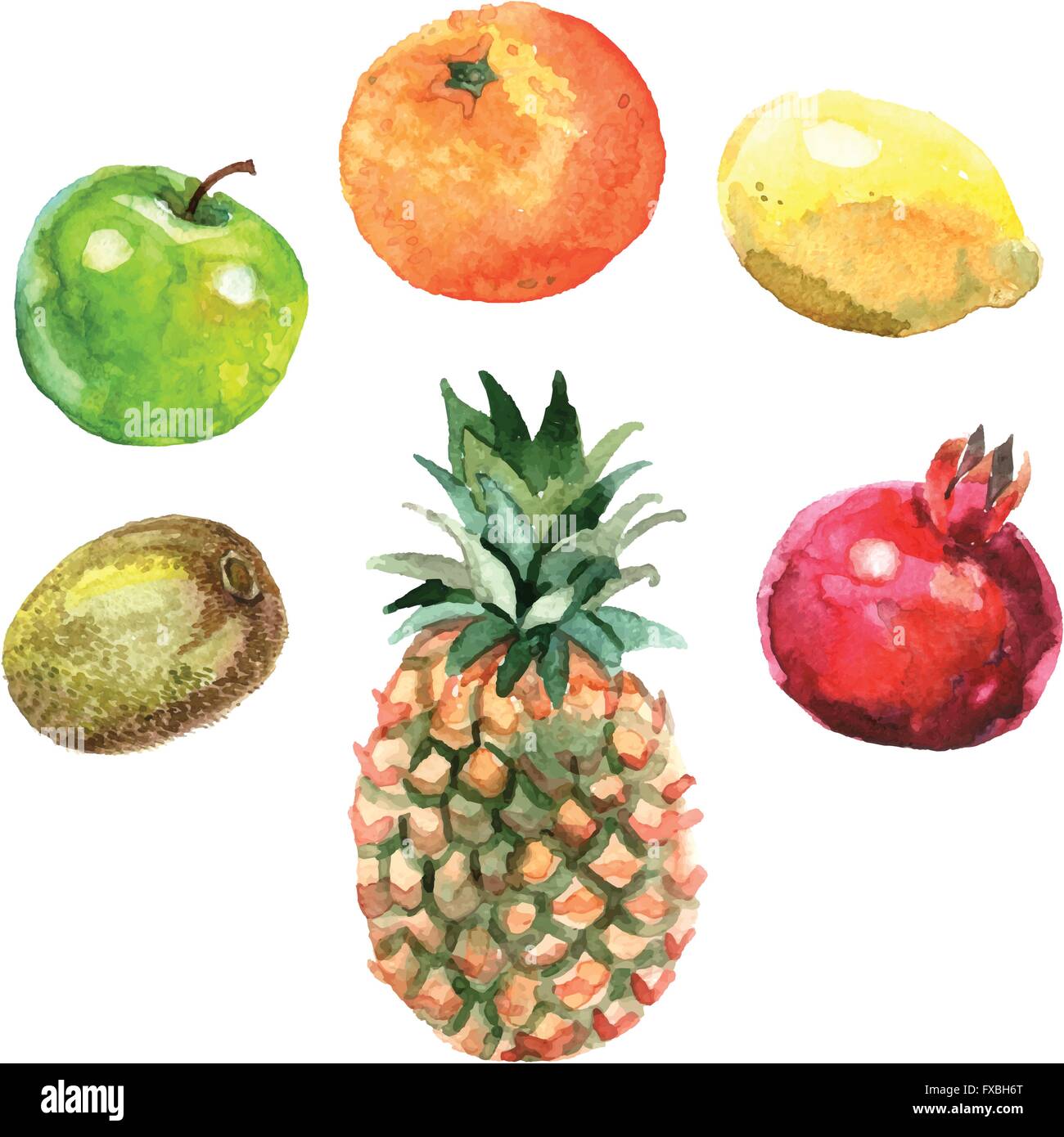 Watercolor Fruits Set Stock Vector Image & Art - Alamy