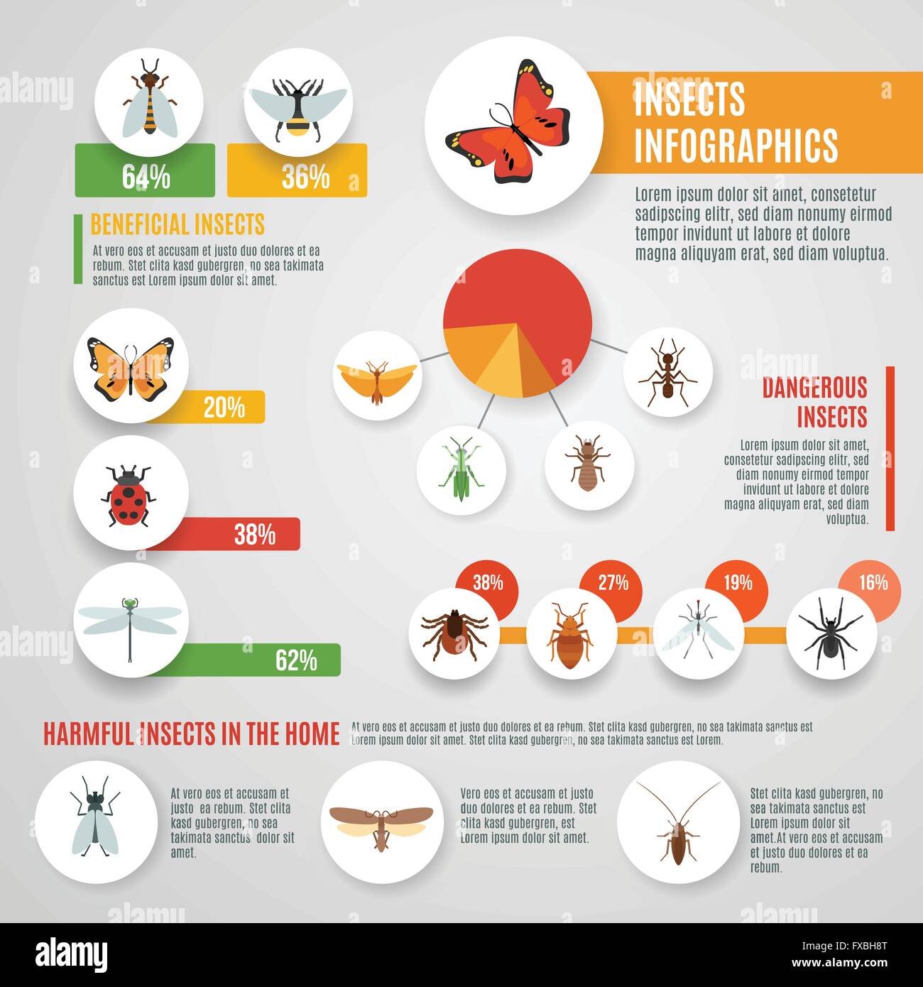Insects Infographic Set Stock Vector Image & Art - Alamy
