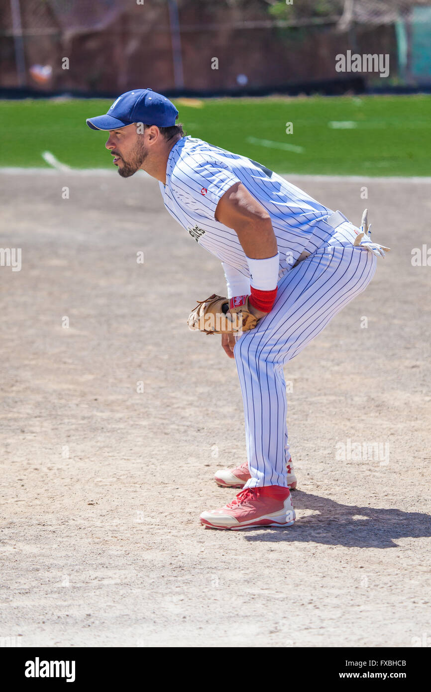 male versus male softball match Stock Photo - Alamy