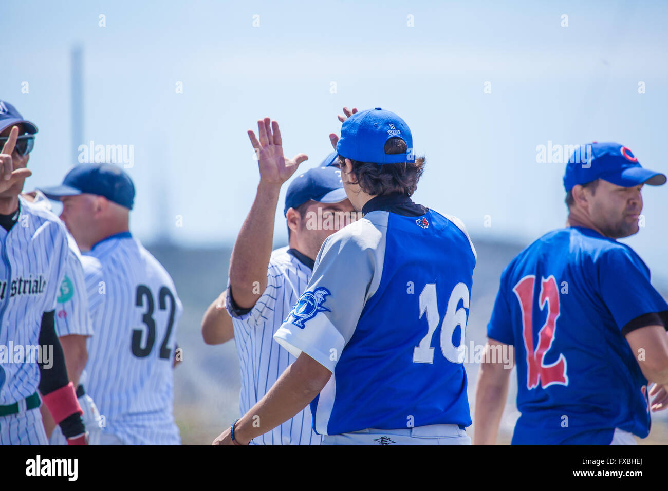 male versus male softball match Stock Photo - Alamy