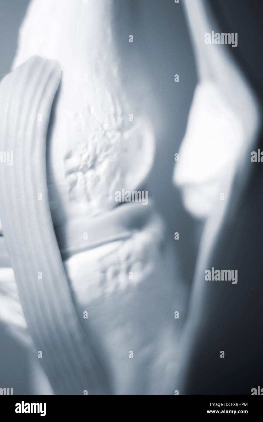 Knee joints meniscus tendons plastic teaching model for taumatology and ...