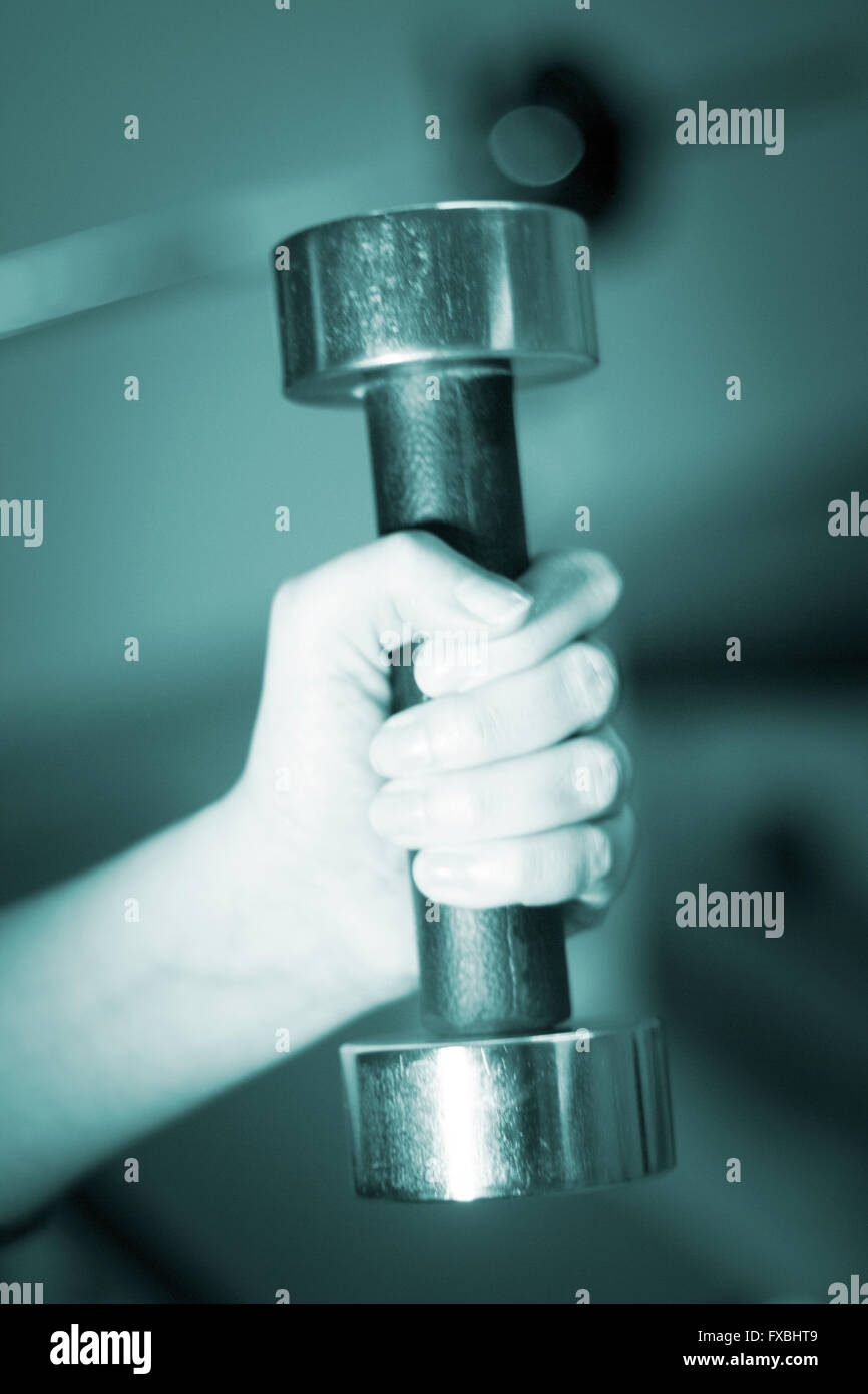 Dumbell weight in hand in fitness gym for weight training, bodybuilding ...