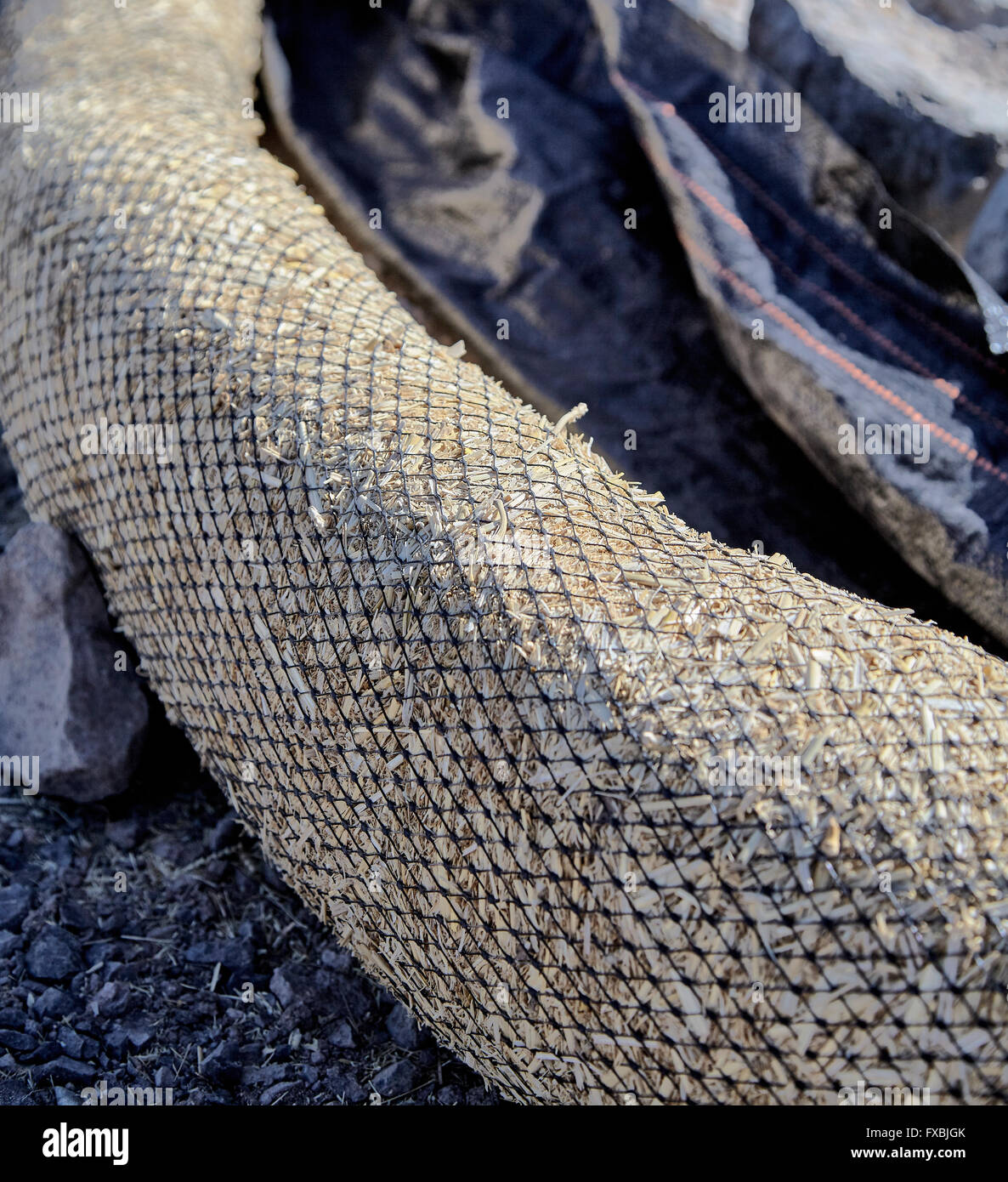 Soil erosion control hi-res stock photography and images - Alamy