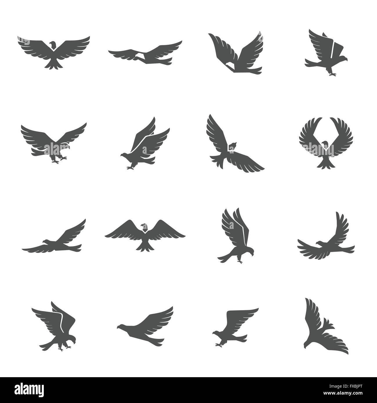 Eagle grey Cut Out Stock Images & Pictures - Alamy