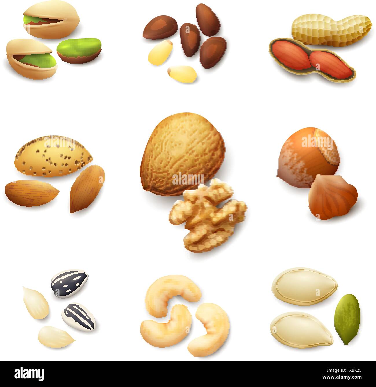 Nuts Realistic Set Stock Vector Image & Art - Alamy