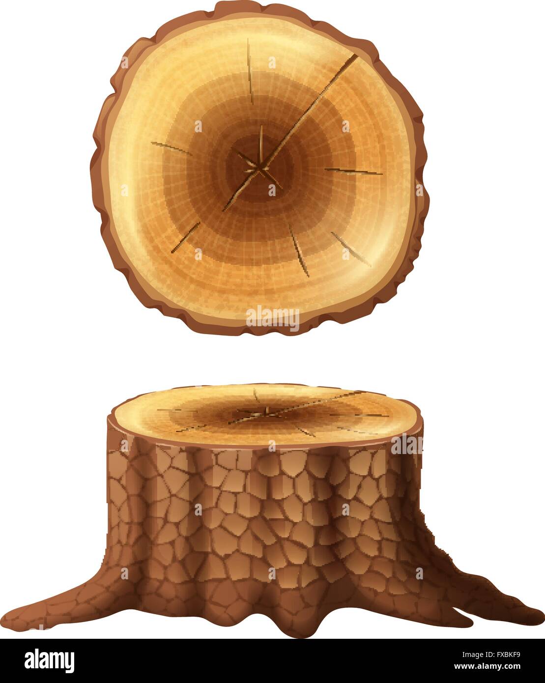 Cross section tree roots hi-res stock photography and images - Alamy