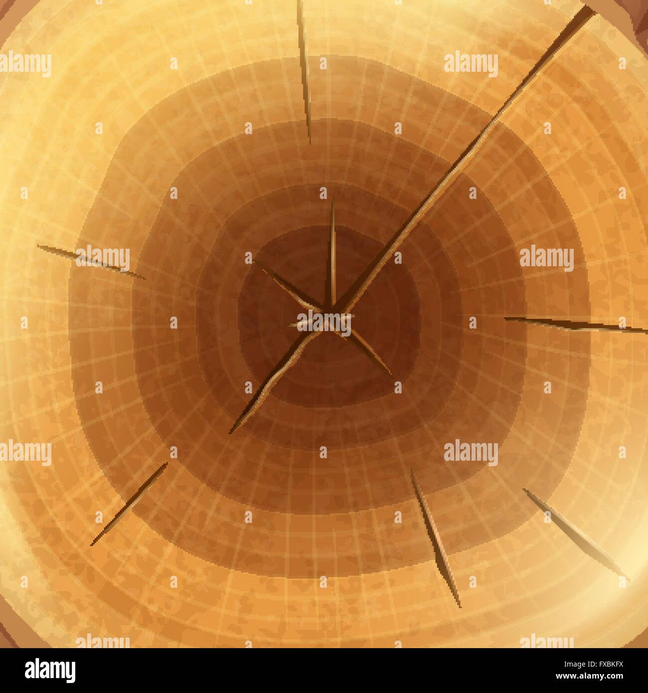 Wood cross section background wallpaper Stock Vector Image & Art - Alamy