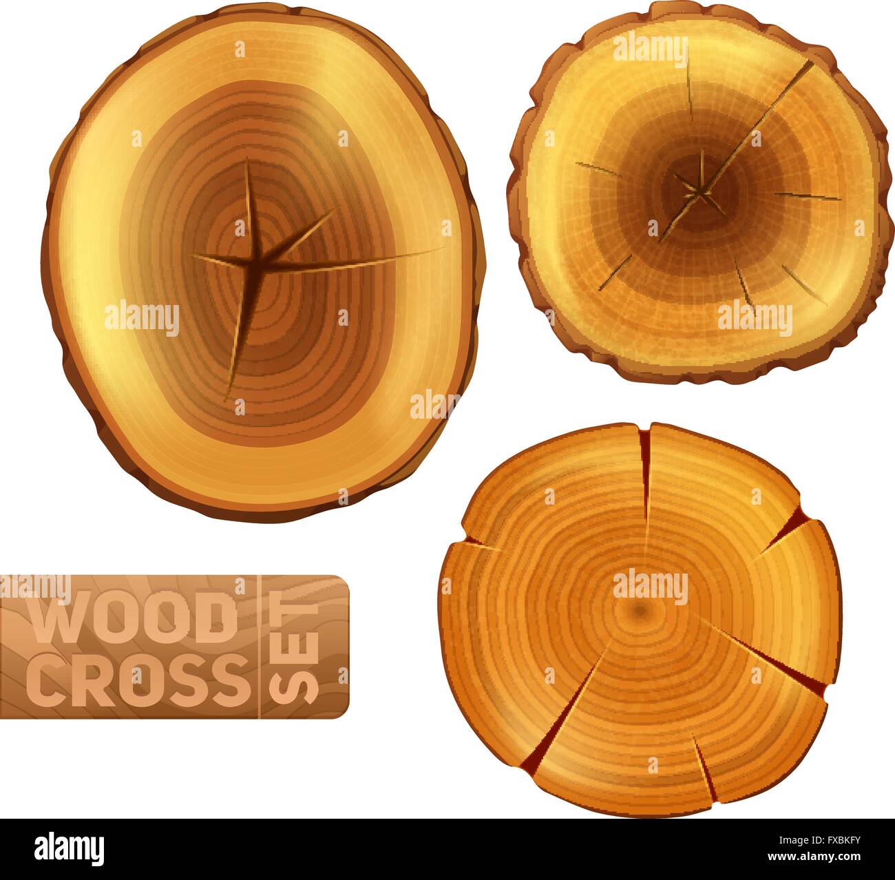 Wood Cross Section Set Stock Vector Image & Art - Alamy