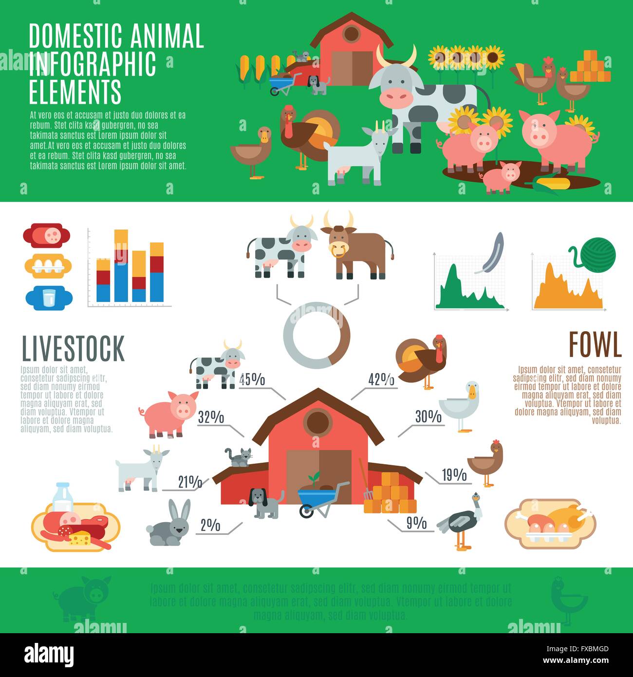 Domestic Animals Infographics Stock Vector Image & Art - Alamy
