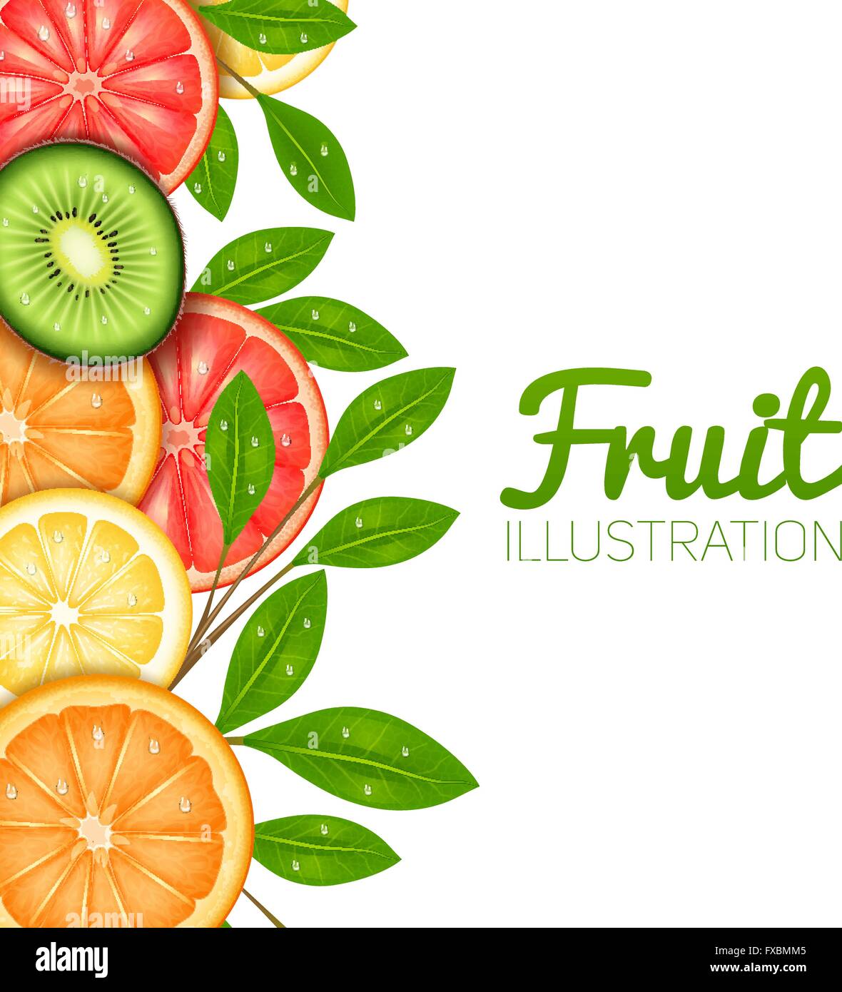 Summer Fruit Illustration Stock Vector Image & Art - Alamy