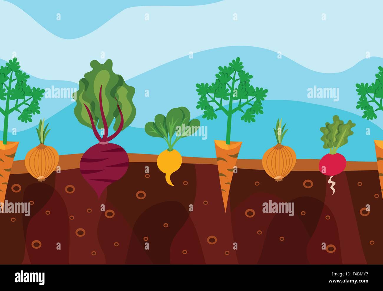 Growing Vegetables Illustration Stock Vector Image & Art - Alamy
