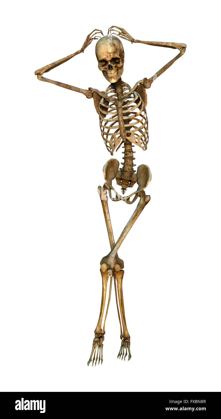 3D Illustration of a human skeleton isolated on white background Stock ...