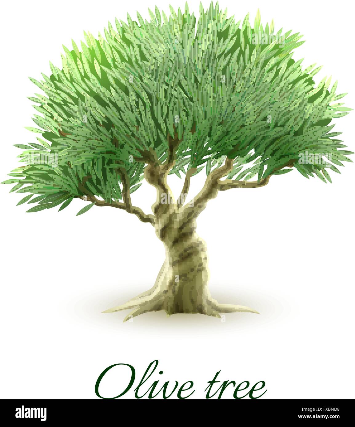 Single olive tree picture print Stock Vector Image & Art - Alamy