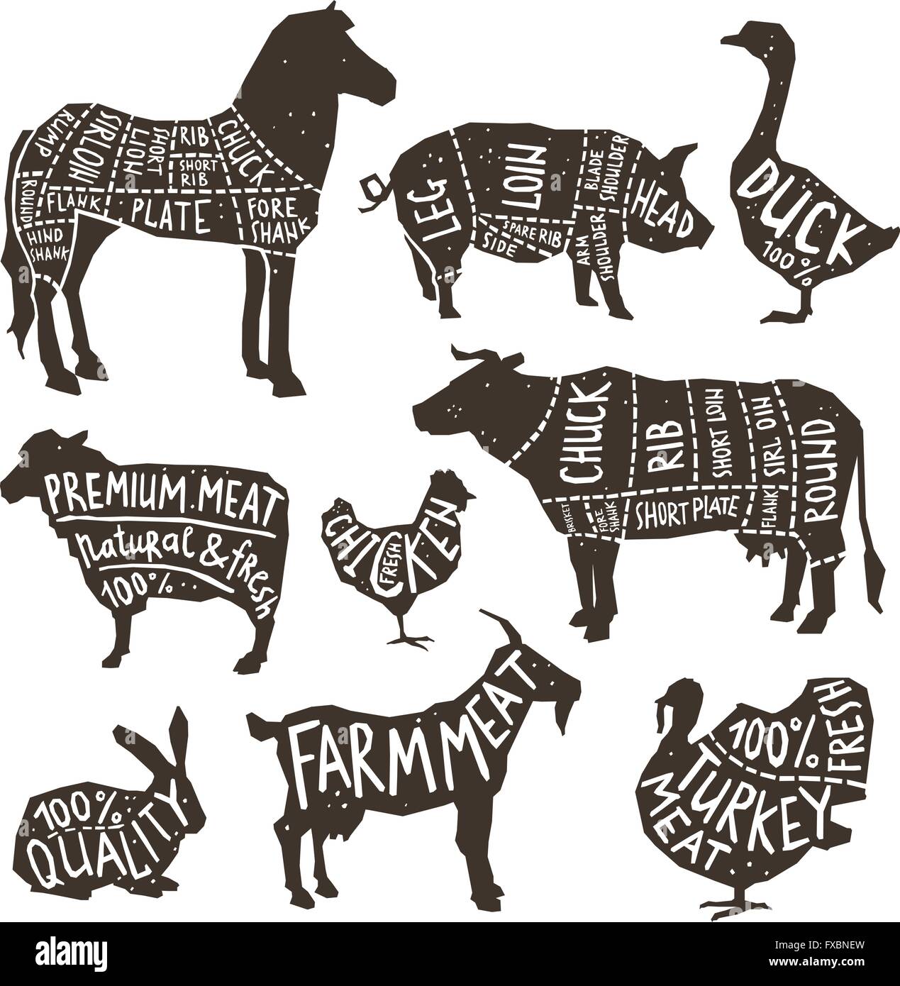 Chalk horse Stock Vector Images - Alamy