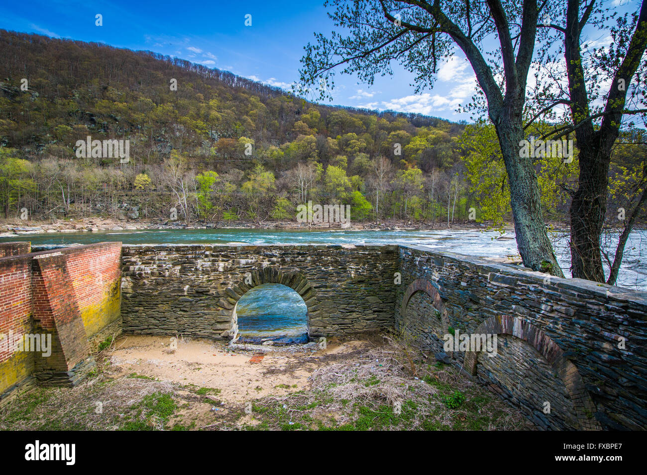 Virginius hi-res stock photography and images - Alamy