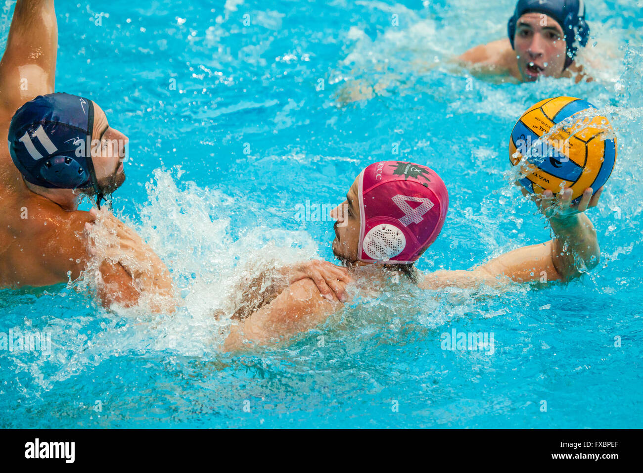 male water polo match Stock Photo - Alamy