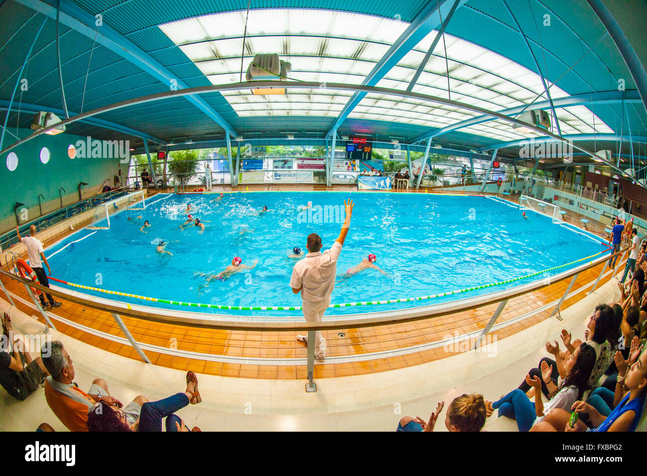 male water polo match Stock Photo - Alamy