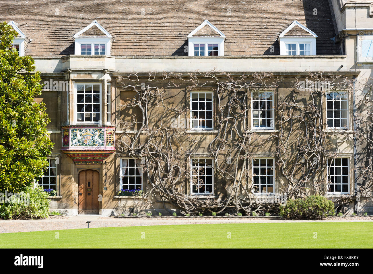 A courtyard and old buildings at Christ's College Cambridge UK part of ...