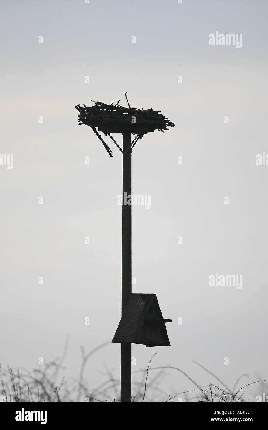 Osprey nest platform & Barn Owl nest box Stock Photo - Alamy