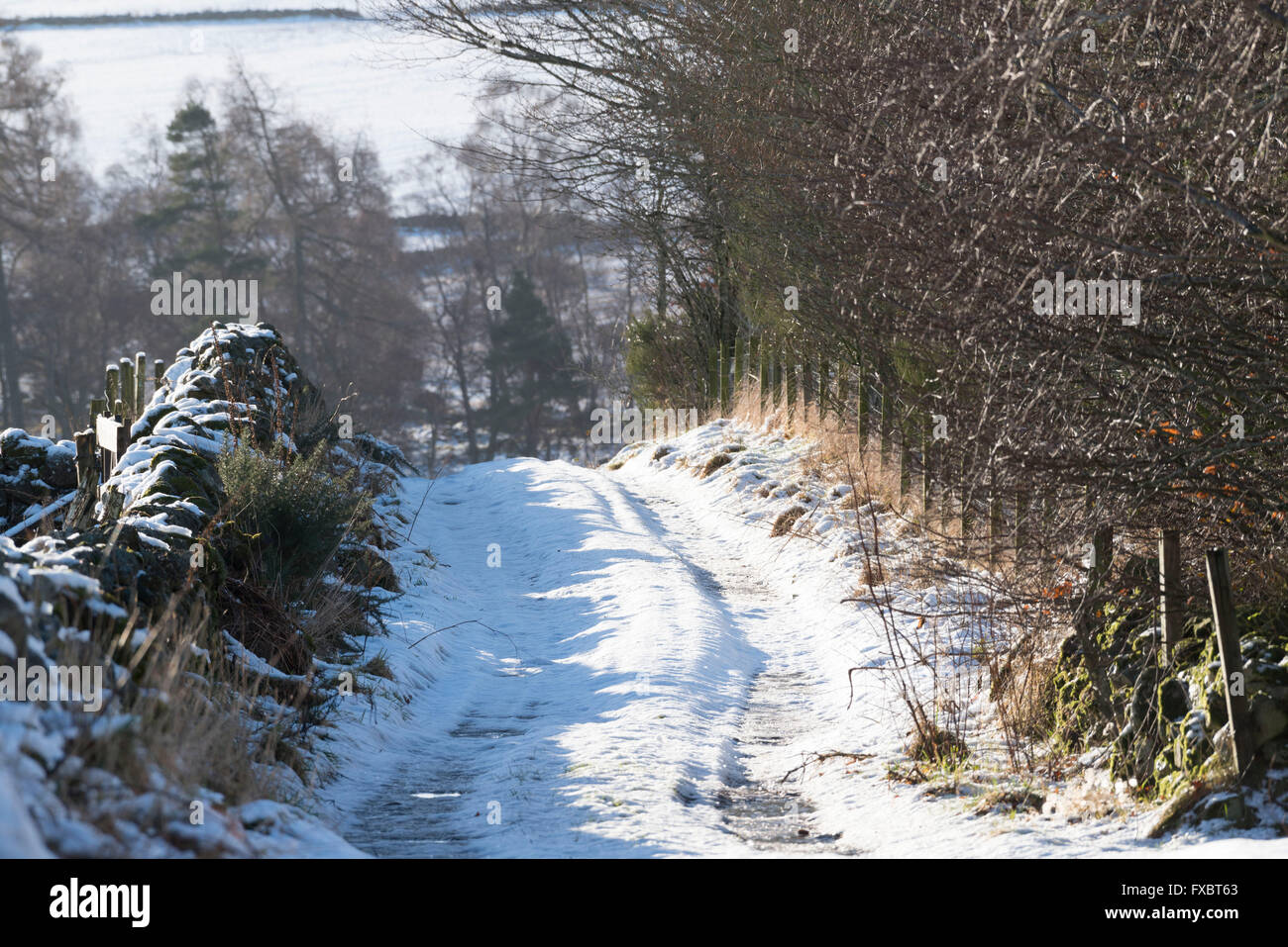 Snow Covered Track in Rural Aberdeenshire Stock Photo - Alamy