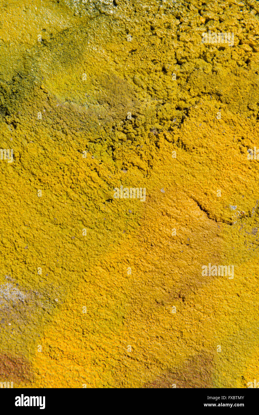 Rough texture of a colorful painted wall Stock Photo - Alamy