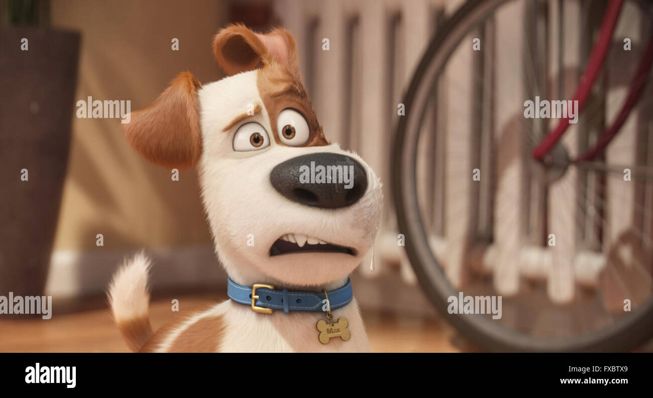 The secret life of pets hi-res stock photography and images - Alamy