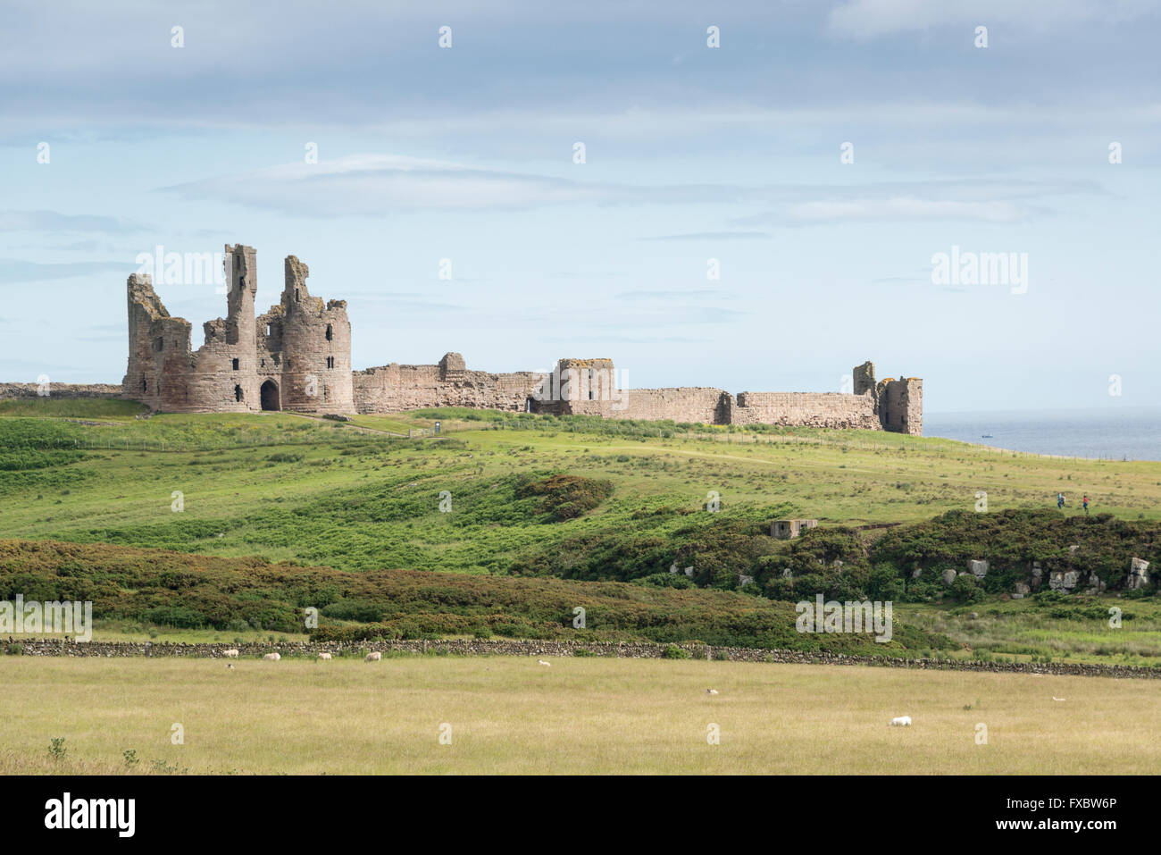 Dunstanburgh Castle, Northumberland Stock Photo - Alamy