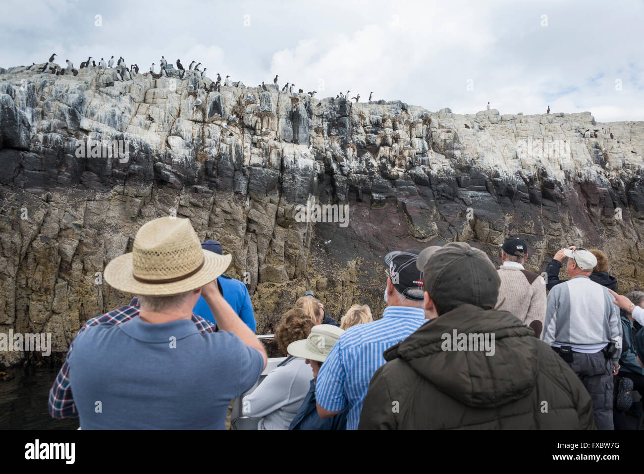 Bird Watching By Boat High Resolution Stock Photography and Images - Alamy