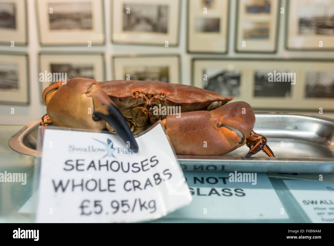 Swallow Fish, Seahouses, Northumberland Stock Photo - Alamy