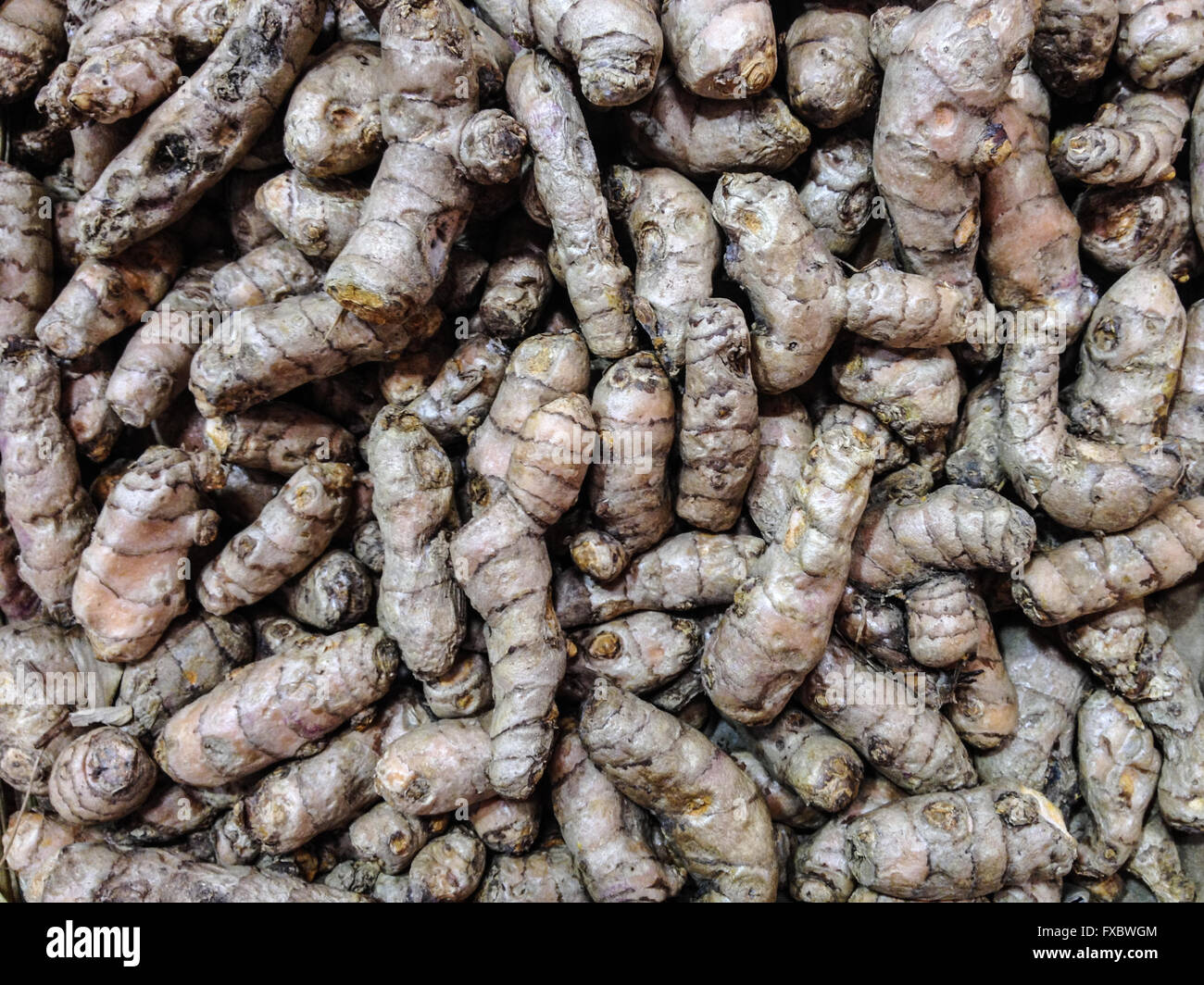 A pile of ginger bulbs Stock Photo - Alamy