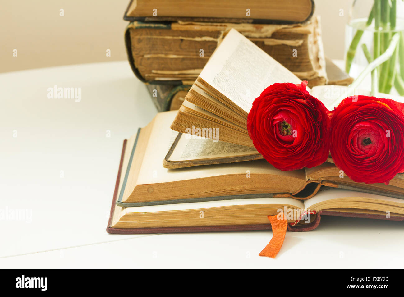Old books with rose flower Stock Photo - Alamy