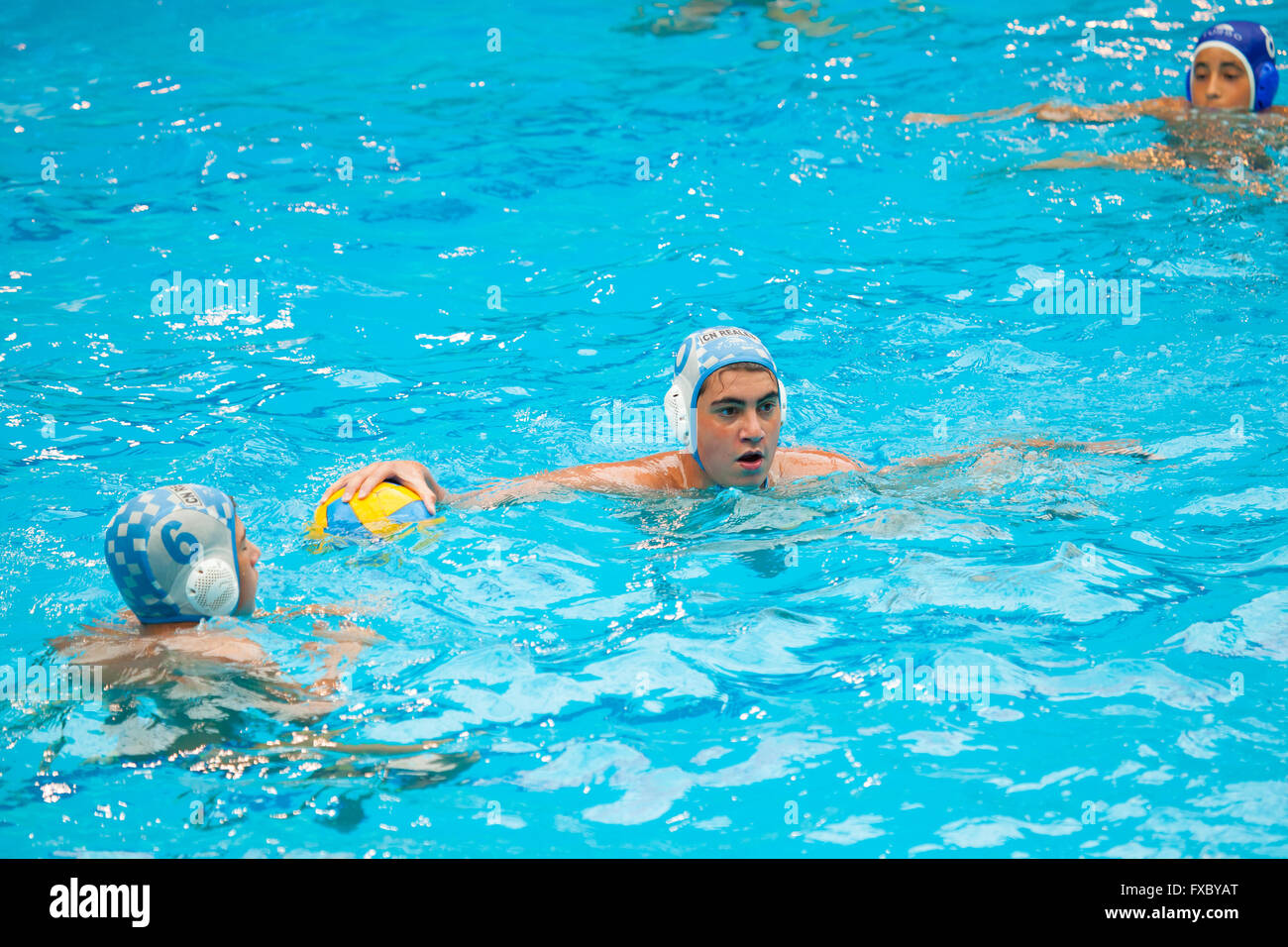 male water polo match Stock Photo - Alamy