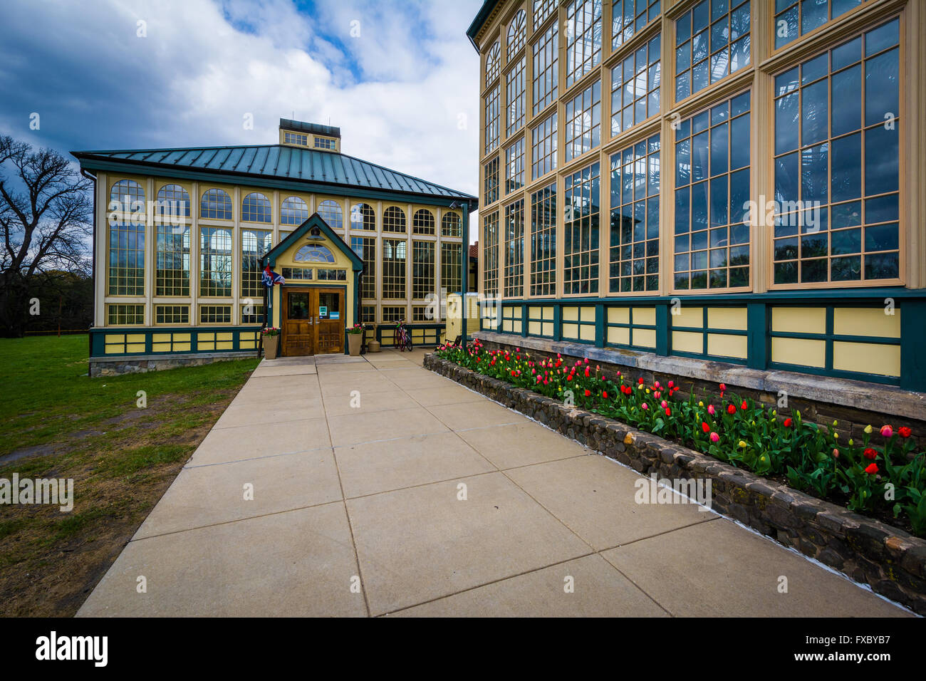 Tulips and the Howard Peters Rawlings Conservatory at Druid Hill Park ...