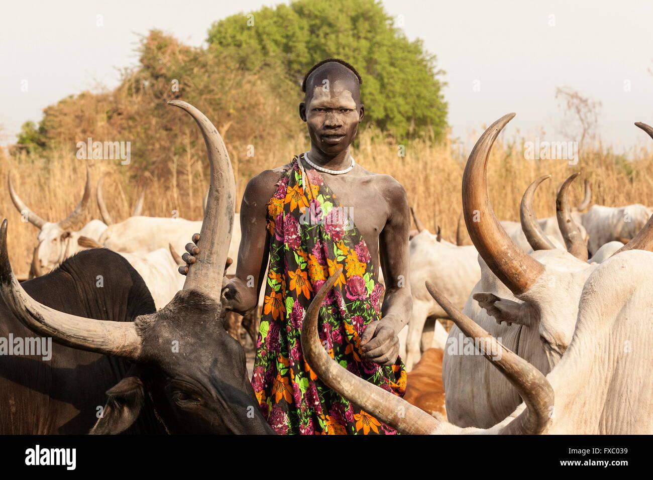 South Sudan. 13th Jan, 2016. A Mundari man stands in the middle of his ...