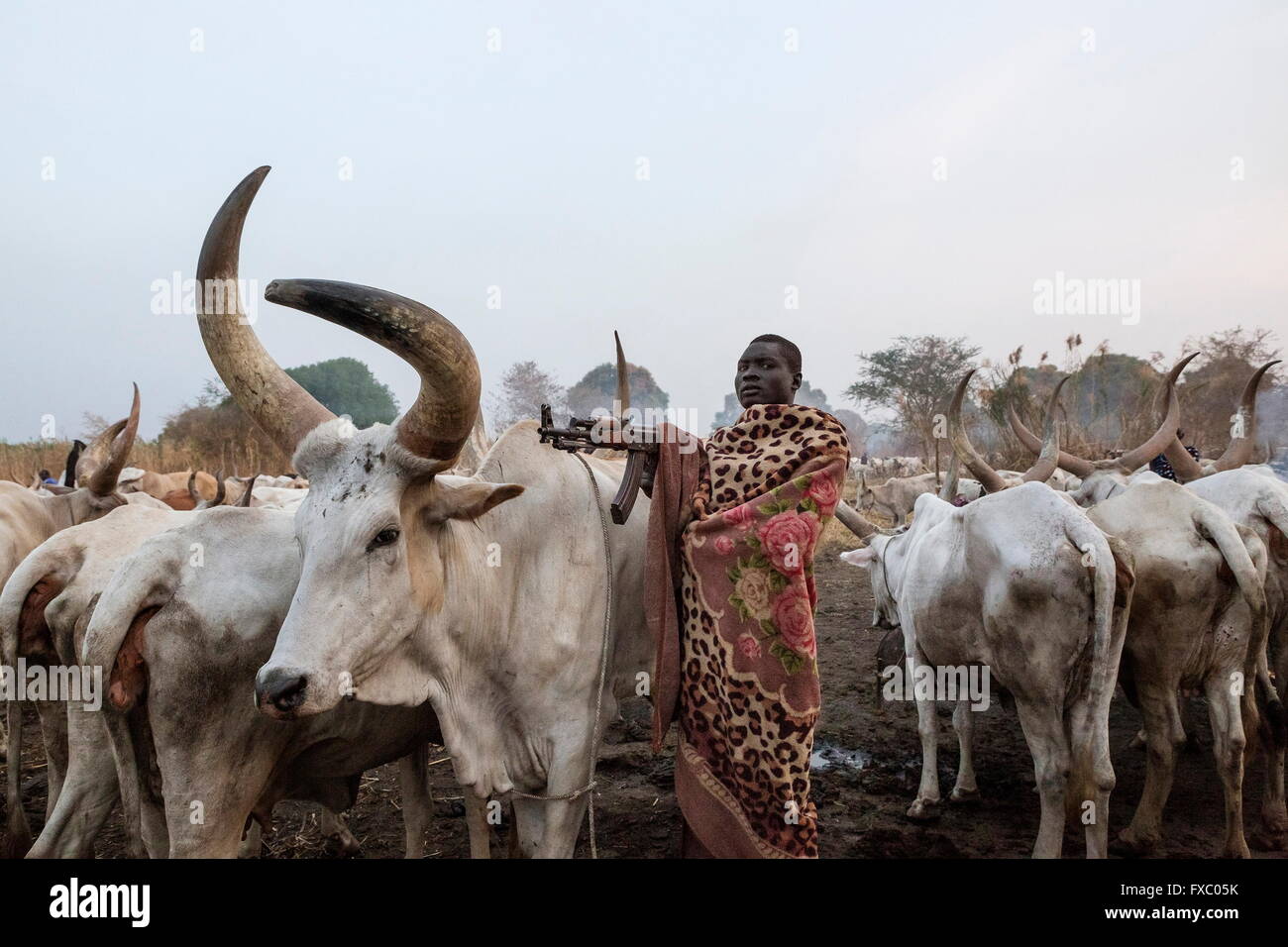 Cattle rustlers hi-res stock photography and images - Alamy
