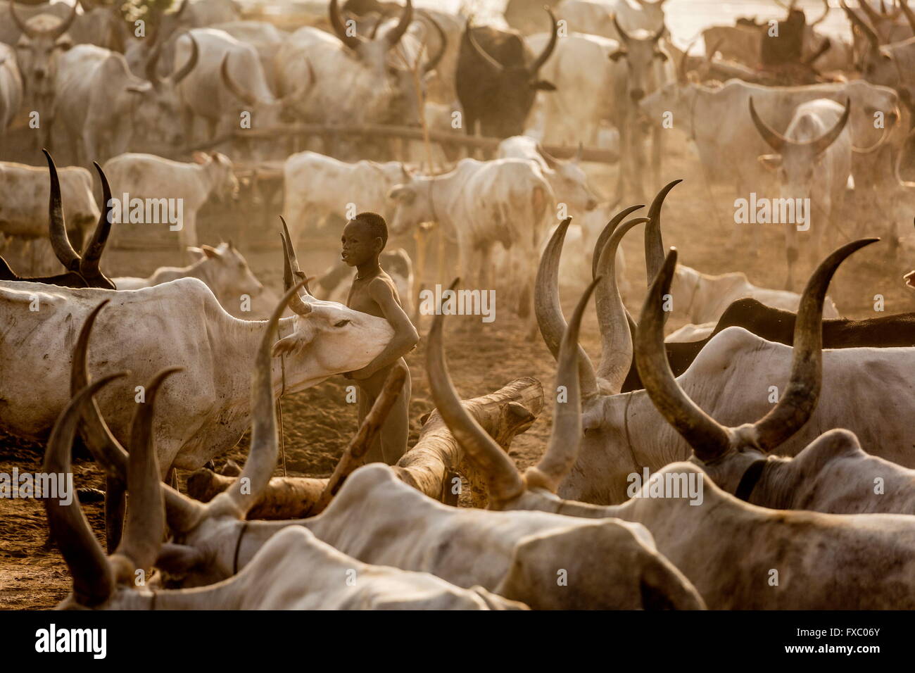 South Sudan. 22nd Feb, 2016. A young Mundari boy holds his precious ...