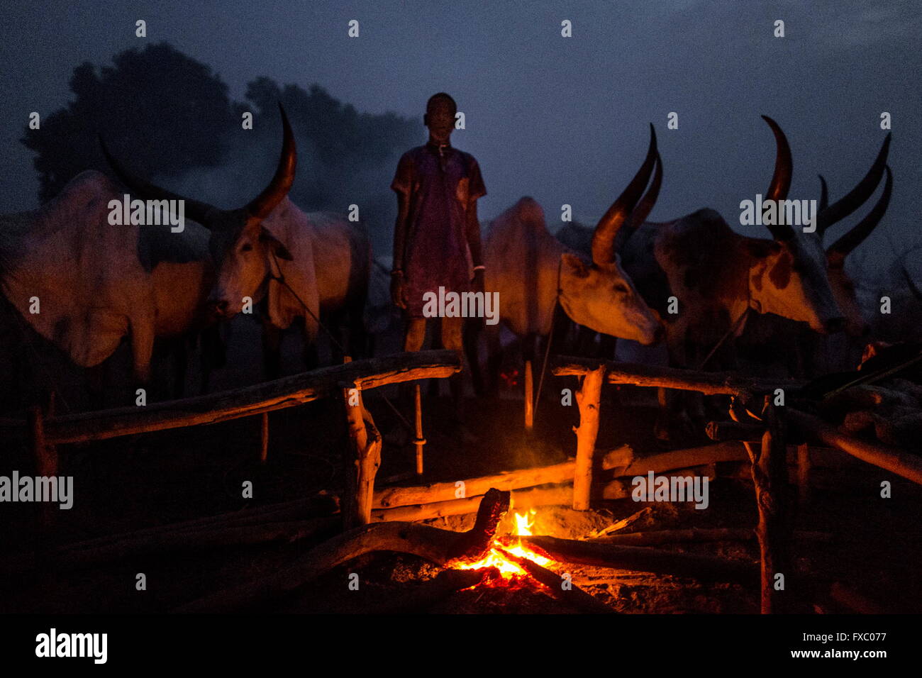 Watusi tribe hi-res stock photography and images - Alamy