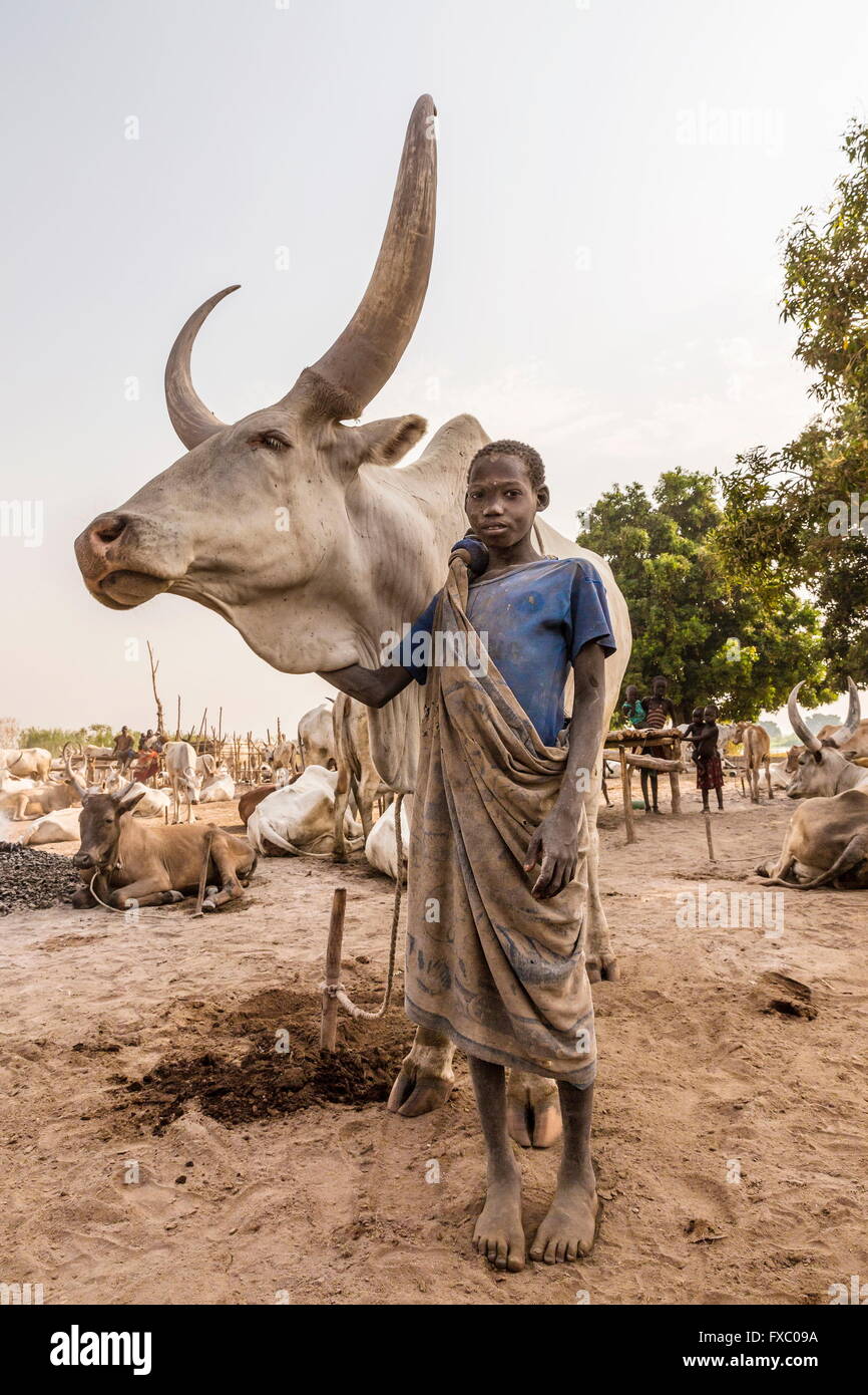 Sudan cattle boy hi-res stock photography and images - Alamy