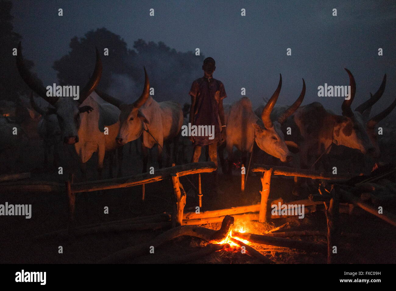 South Sudan. 21st Feb, 2016. A young Mundari man keeps watch over the ...