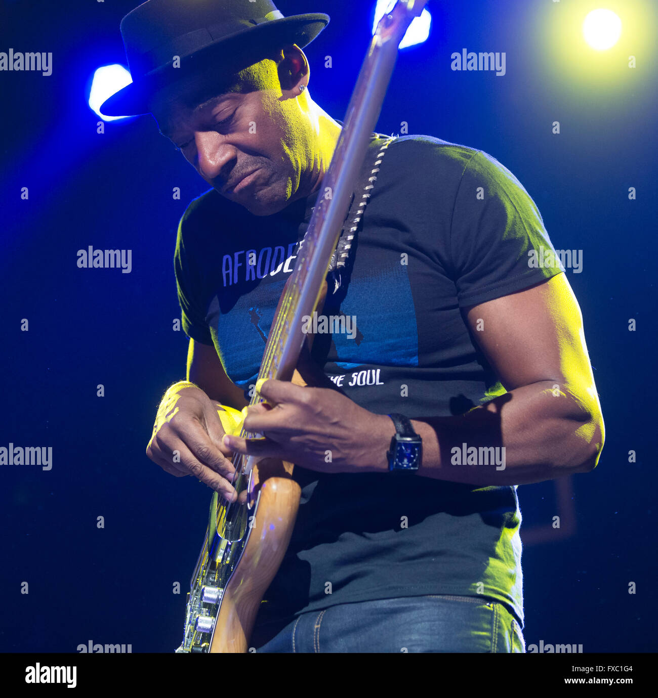 American bass hi-res stock photography and images - Alamy