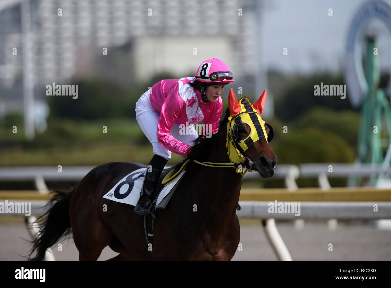 Funabashi, Chiba, Japan. 13th Apr, 2016. Nanako Fujita Horse Racing ...