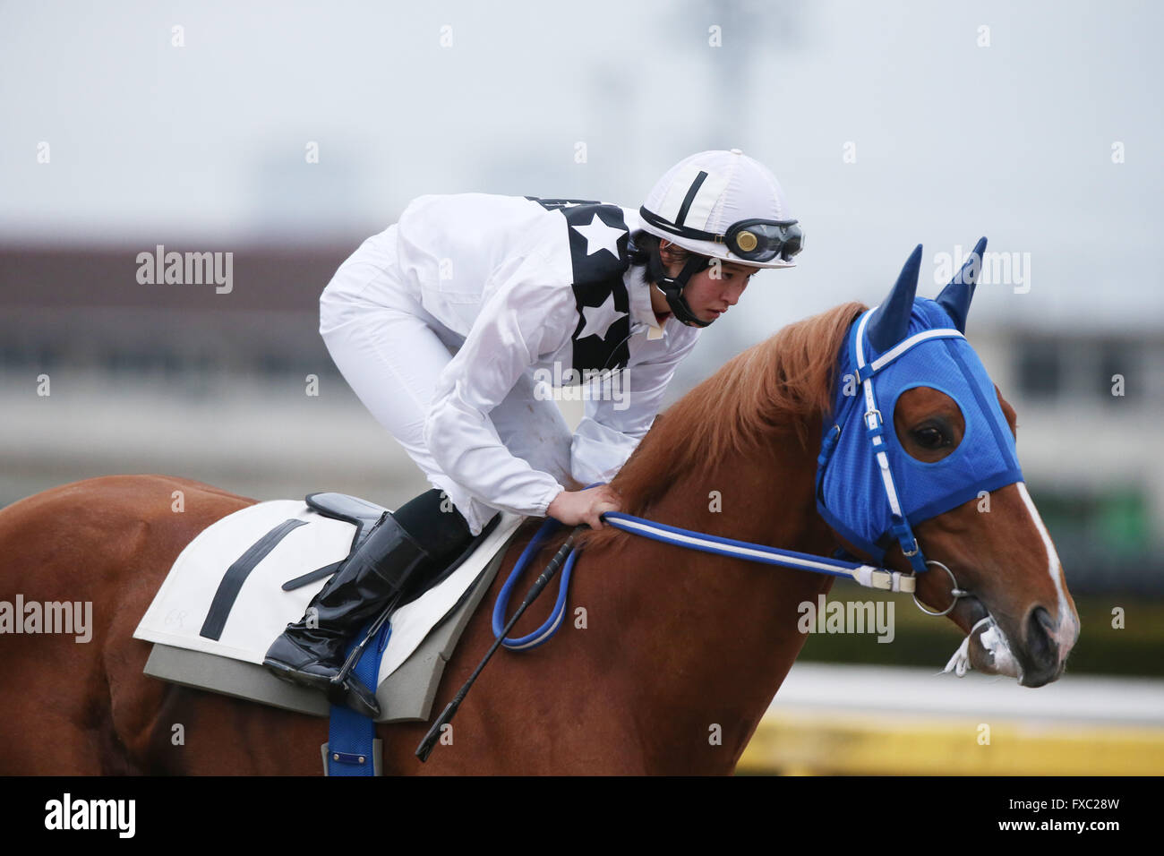 Funabashi, Chiba, Japan. 13th Apr, 2016. Nanako Fujita Horse Racing ...