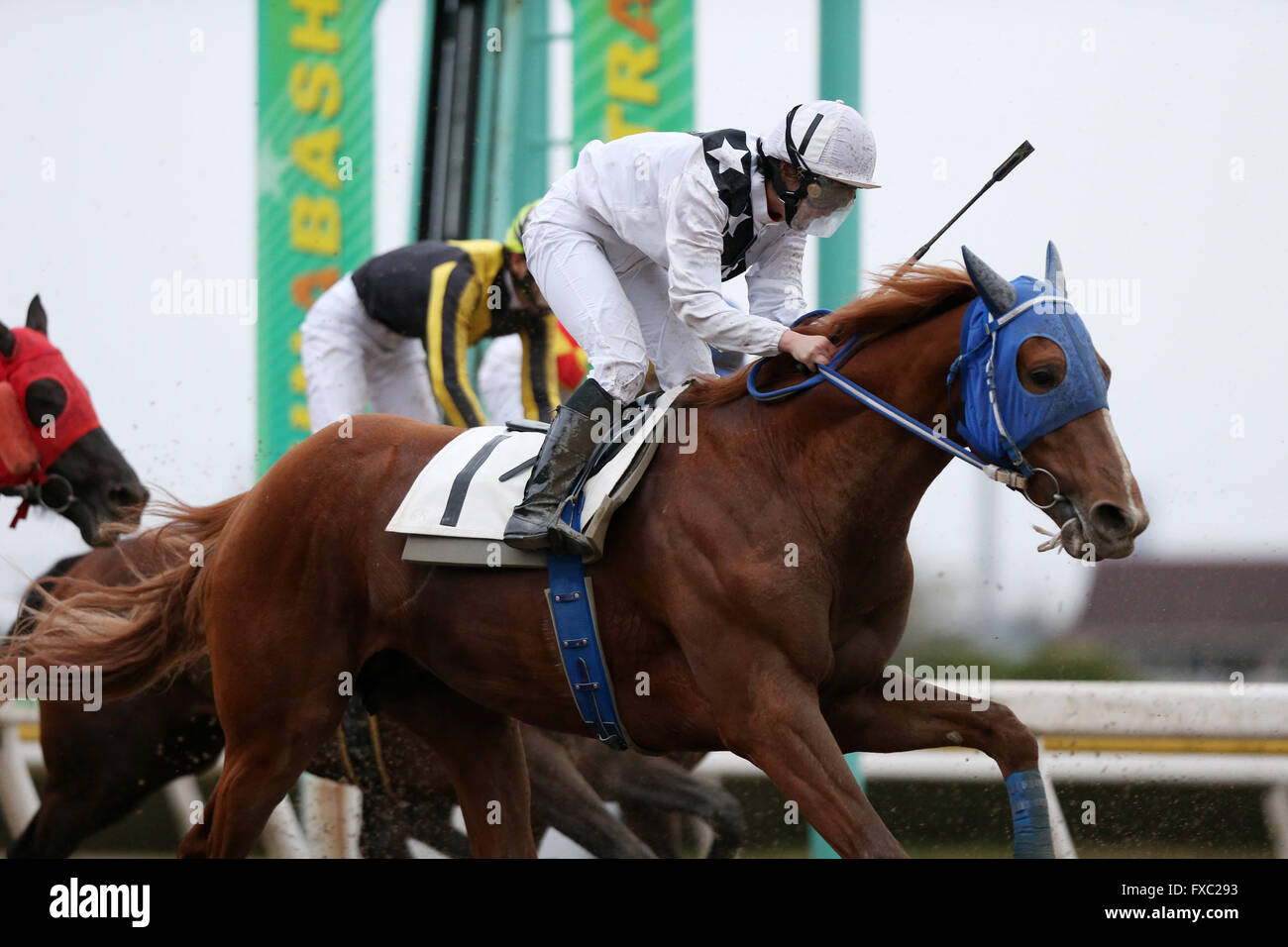 Funabashi, Chiba, Japan. 13th Apr, 2016. Nanako Fujita Horse Racing ...