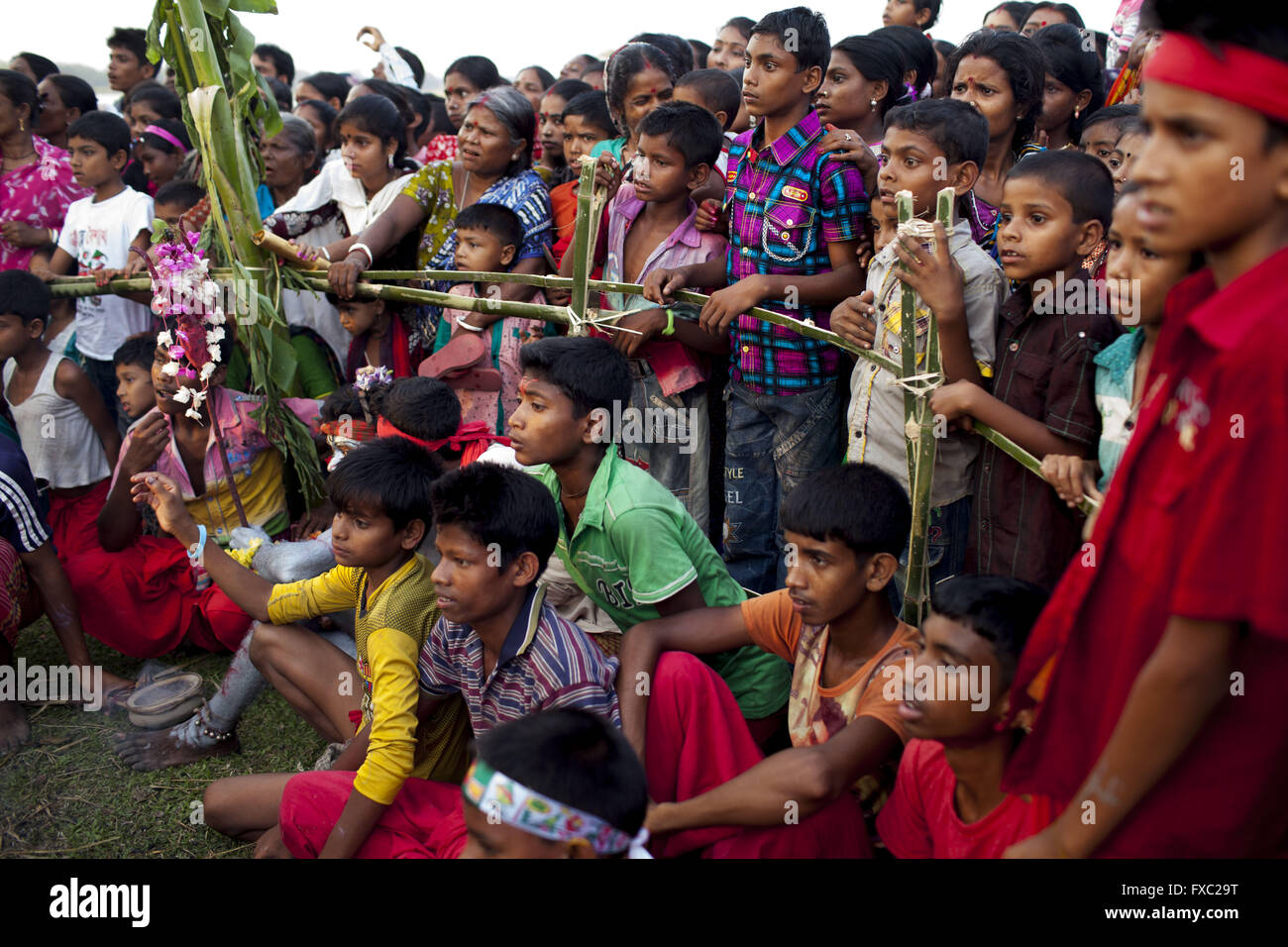 Chorok tree hi-res stock photography and images - Alamy