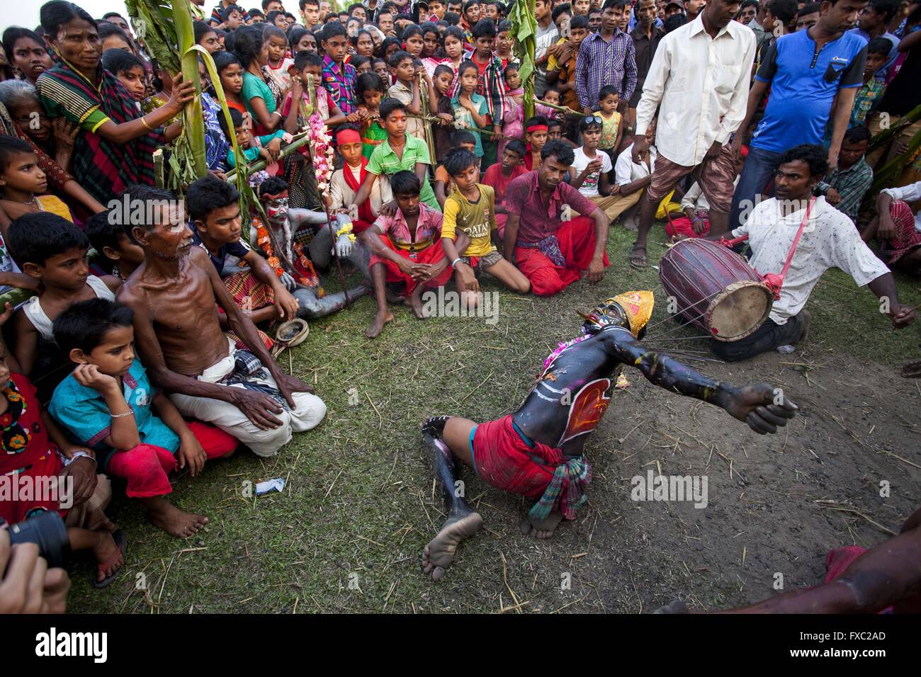 Chorok tree hi-res stock photography and images - Alamy